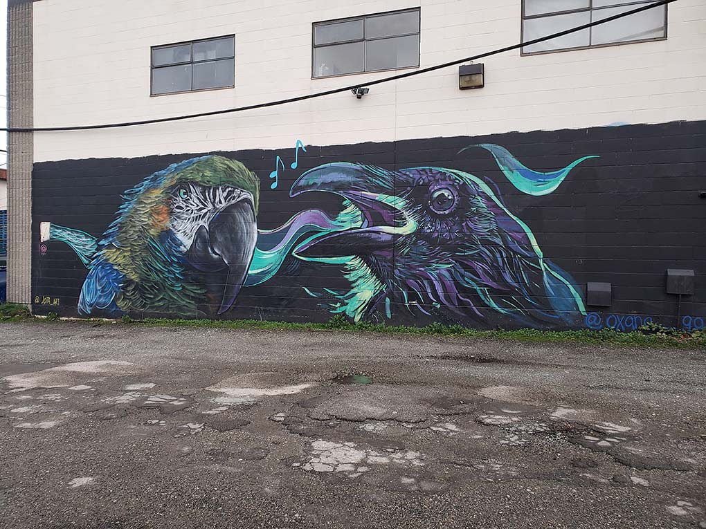 Echoes of Movement - Digital Stories Canada